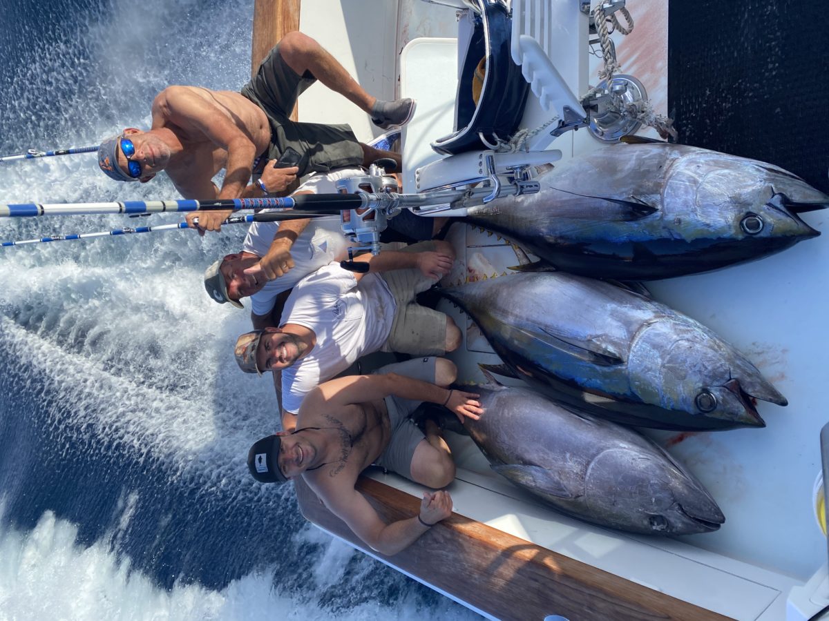 2020 Catches - Manasquan River Marlin & Tuna Club