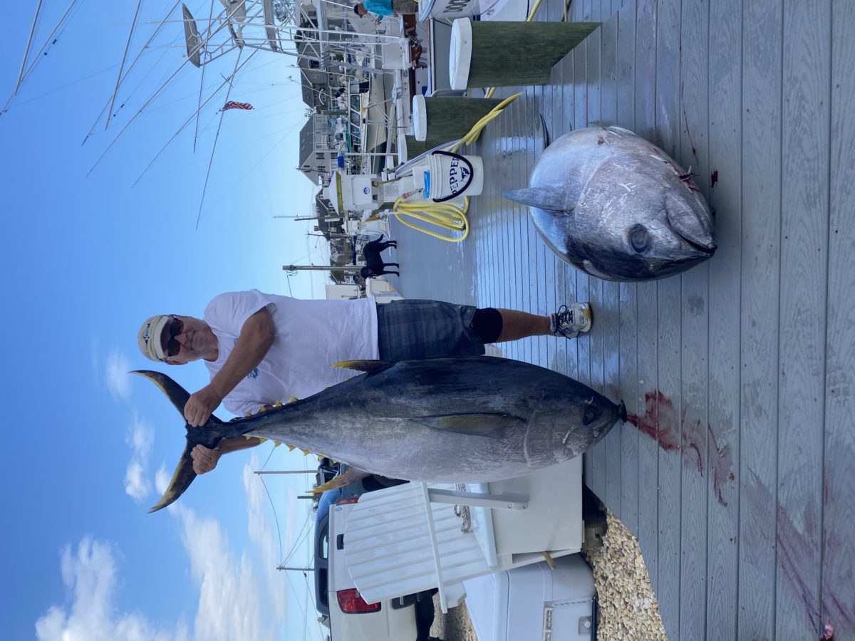 2020 Catches - Manasquan River Marlin & Tuna Club
